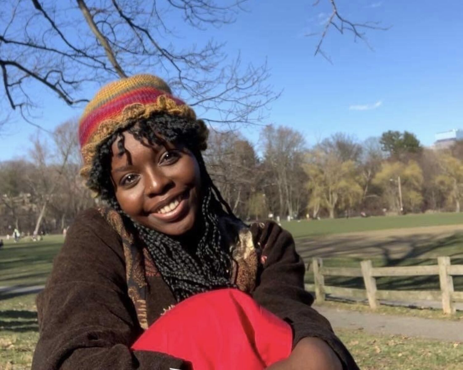 WHO IS THIS GOOSE EATING GOOSE? – The Ex-Puritan